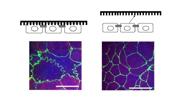 Nanostructured-Thin-Film-Eases-Drug