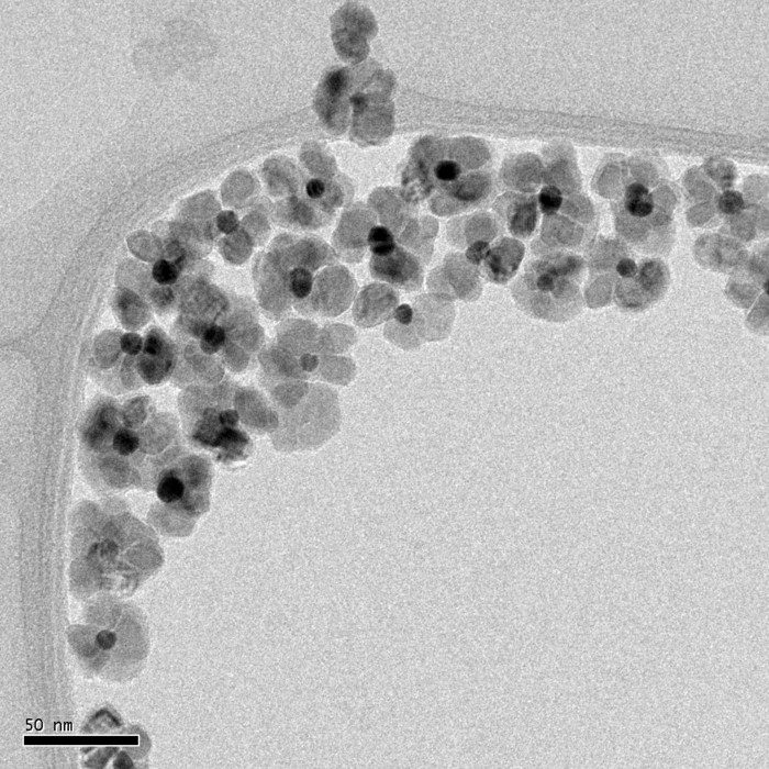 Metallic-Nanoflower-Does-Triple-Duty