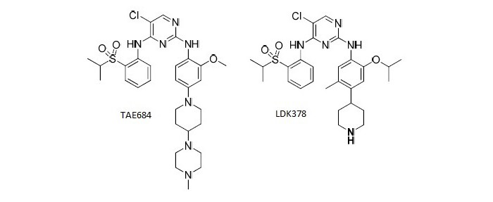 Novartis-First-Generation-Lung-Cancer
