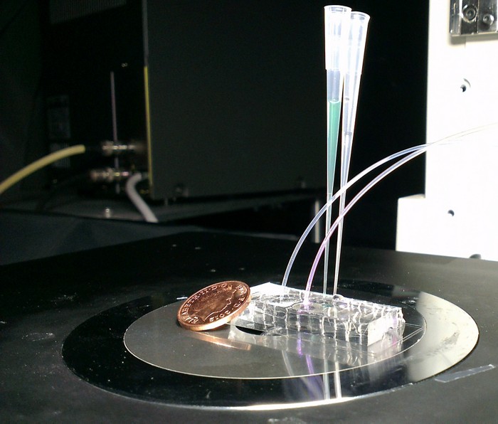 Microfluidic-Device-Helps-Scientists-Capture