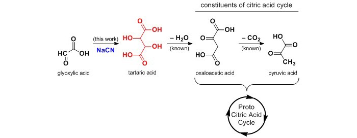 Simple-Reaction-Provide-Clue-Origins