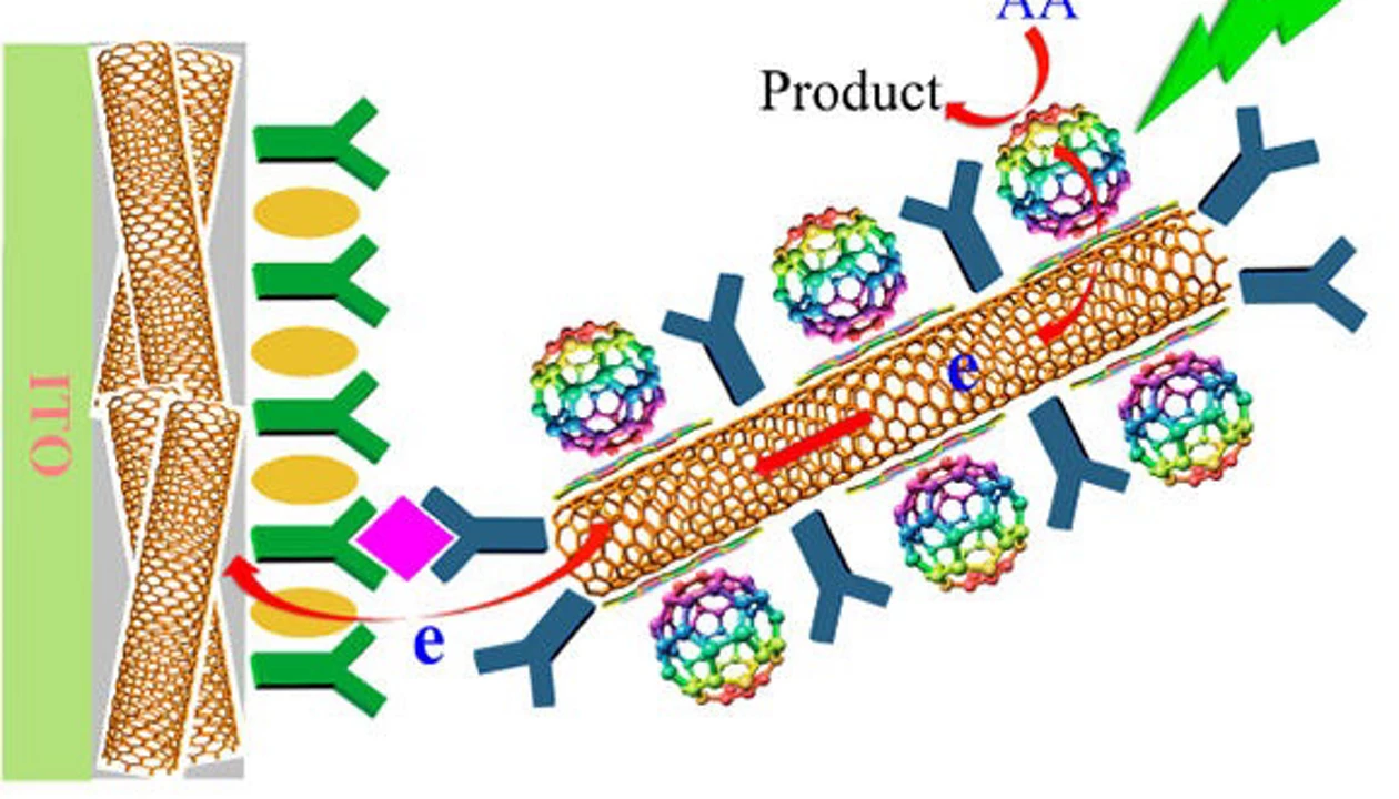 An Ultrasensitive, Carbon-Based Probe For Biomolecules