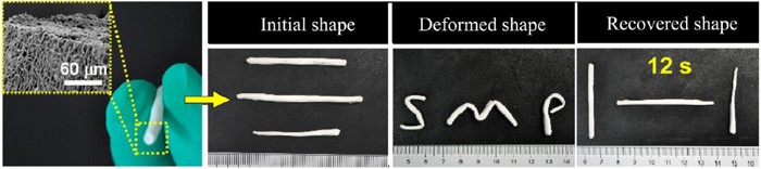 Shape-Shifting-Scaffold-Supports-Growing