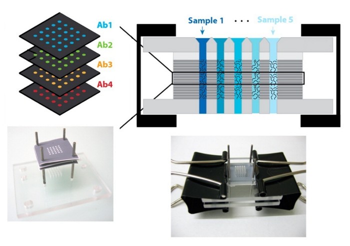 Protein-Microarrays-3-D
