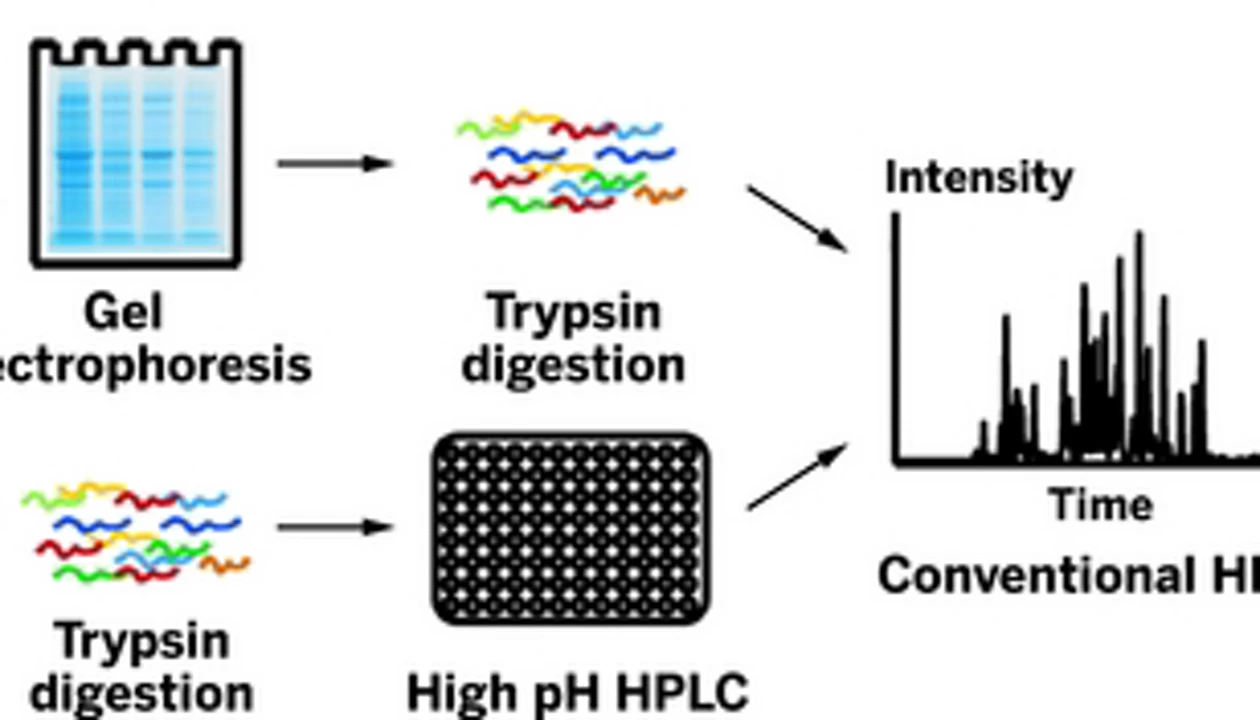 Human Proteome Map Assembled