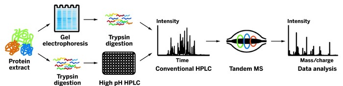 Human-Proteome-Map-Assembled