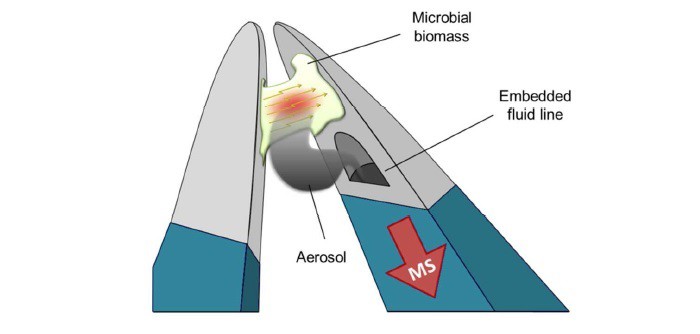 Mass-Spec-Method-Quickly-Accurately