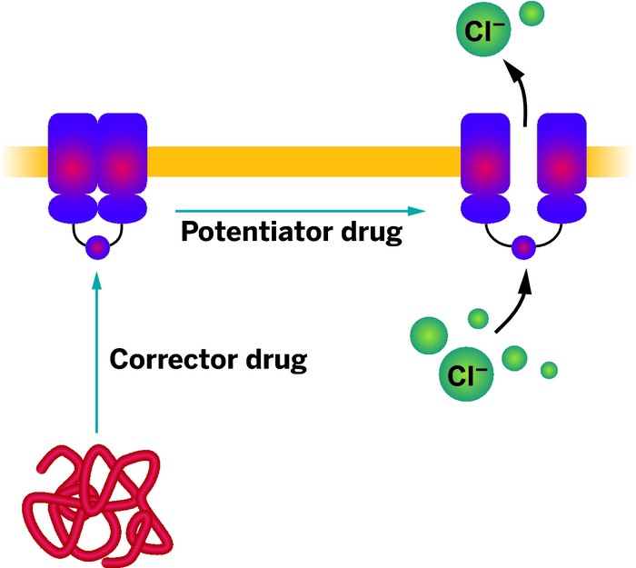 Cystic-Fibrosis-Drug-Combination-Counteracting