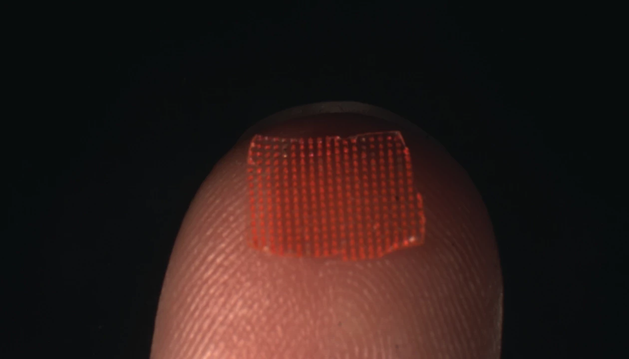 Microneedles For Painless Delivery Of Vaccines And Nanomedicines