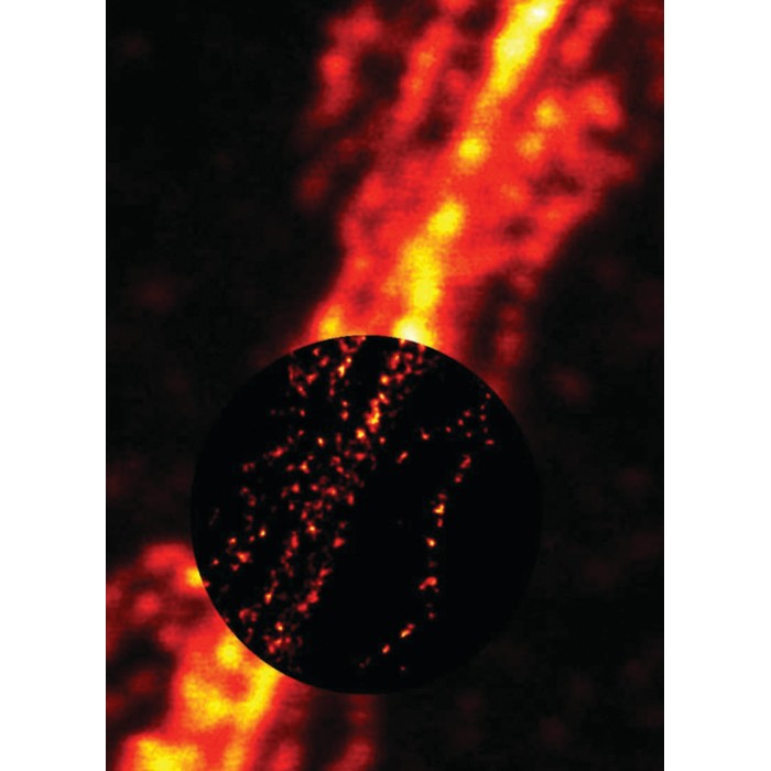 Eric-Betzig-Stefan-Hell-W