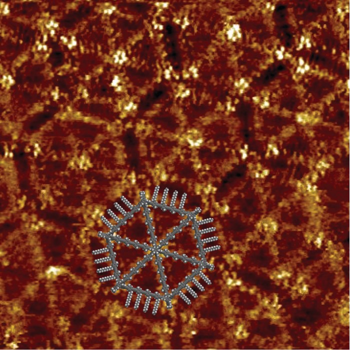 Chemists-Synthesize-1878-Carbon-Hexagon Chemists-Synthesize-1878-Carbon-Hexagon