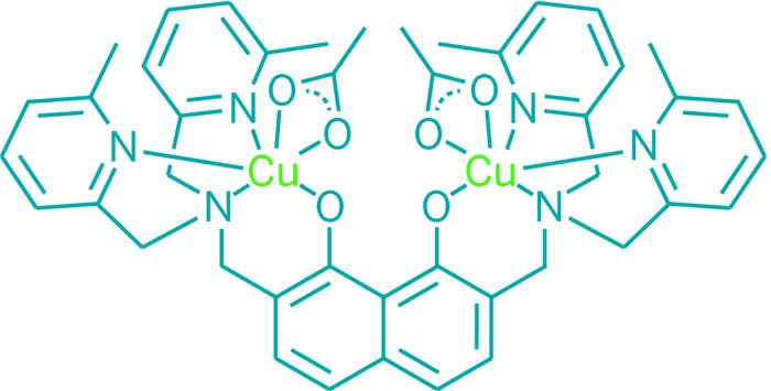Copper-Complex-Entangles-DNA-Kills