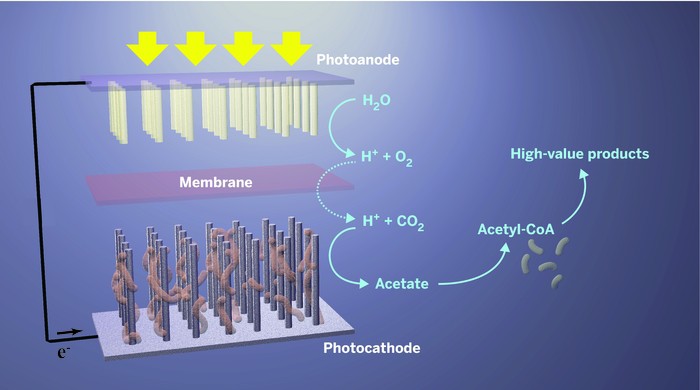 Artificial-Photosynthesis-Device-Paves-Way