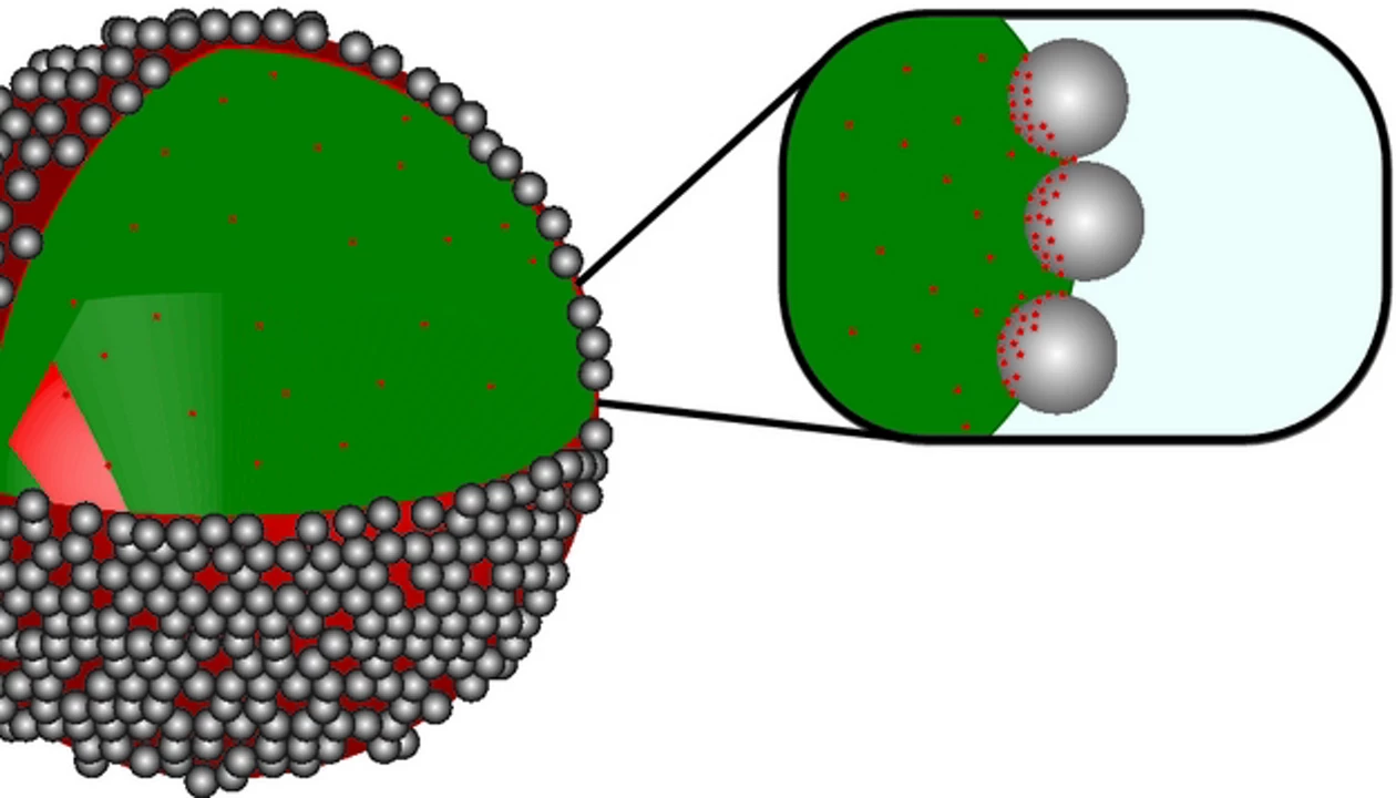 Peppermint Bombs Blast Bacterial Biofilms