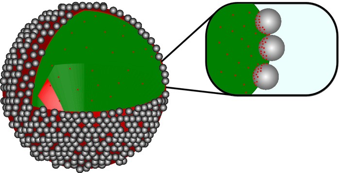 Peppermint-Bombs-Blast-Bacterial-Biofilms