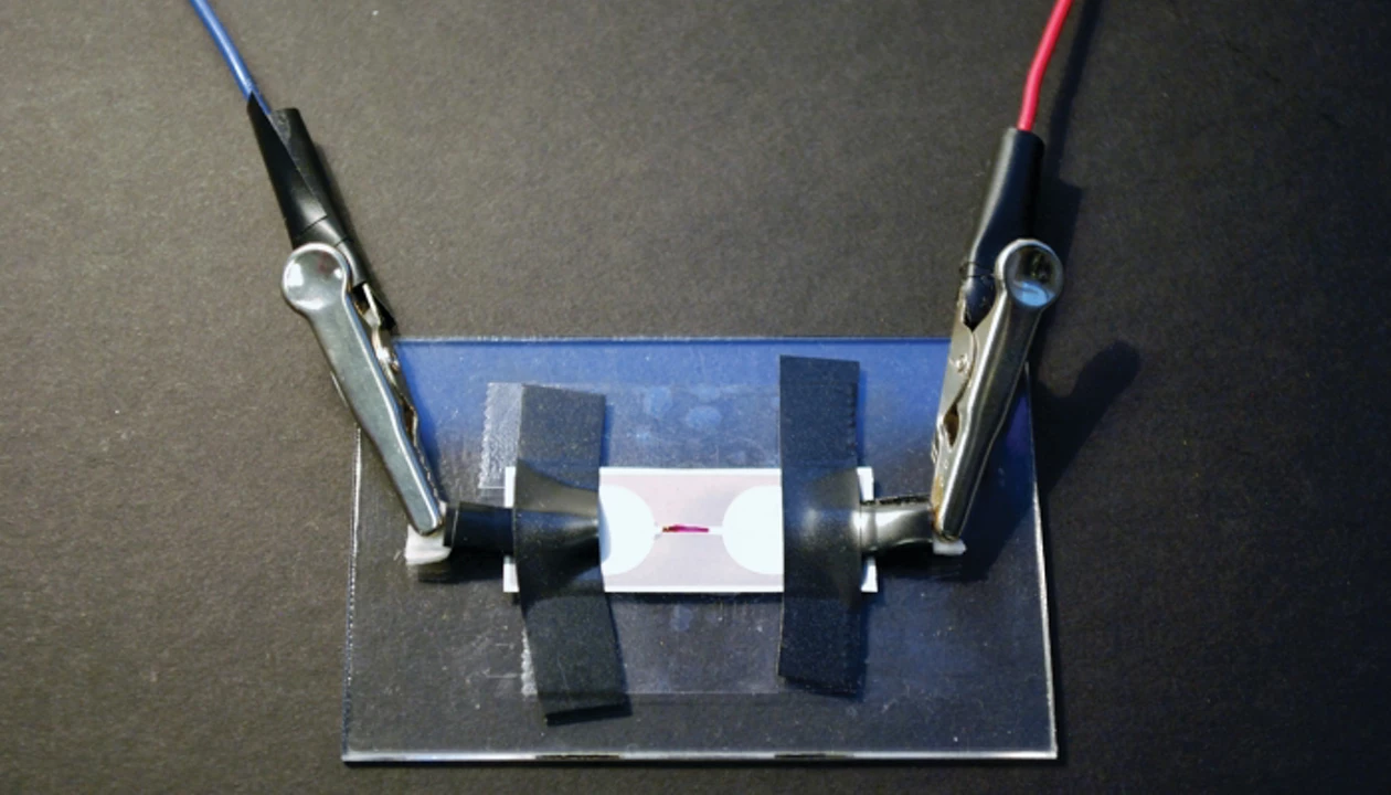 Putting DNA Diagnostics On Paper