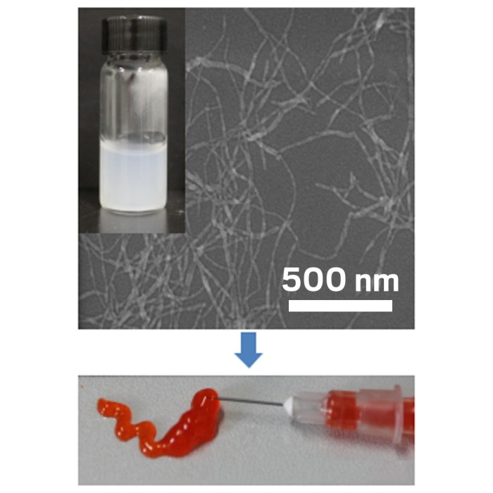 Silk-based-hydrogel-deliver-sustained