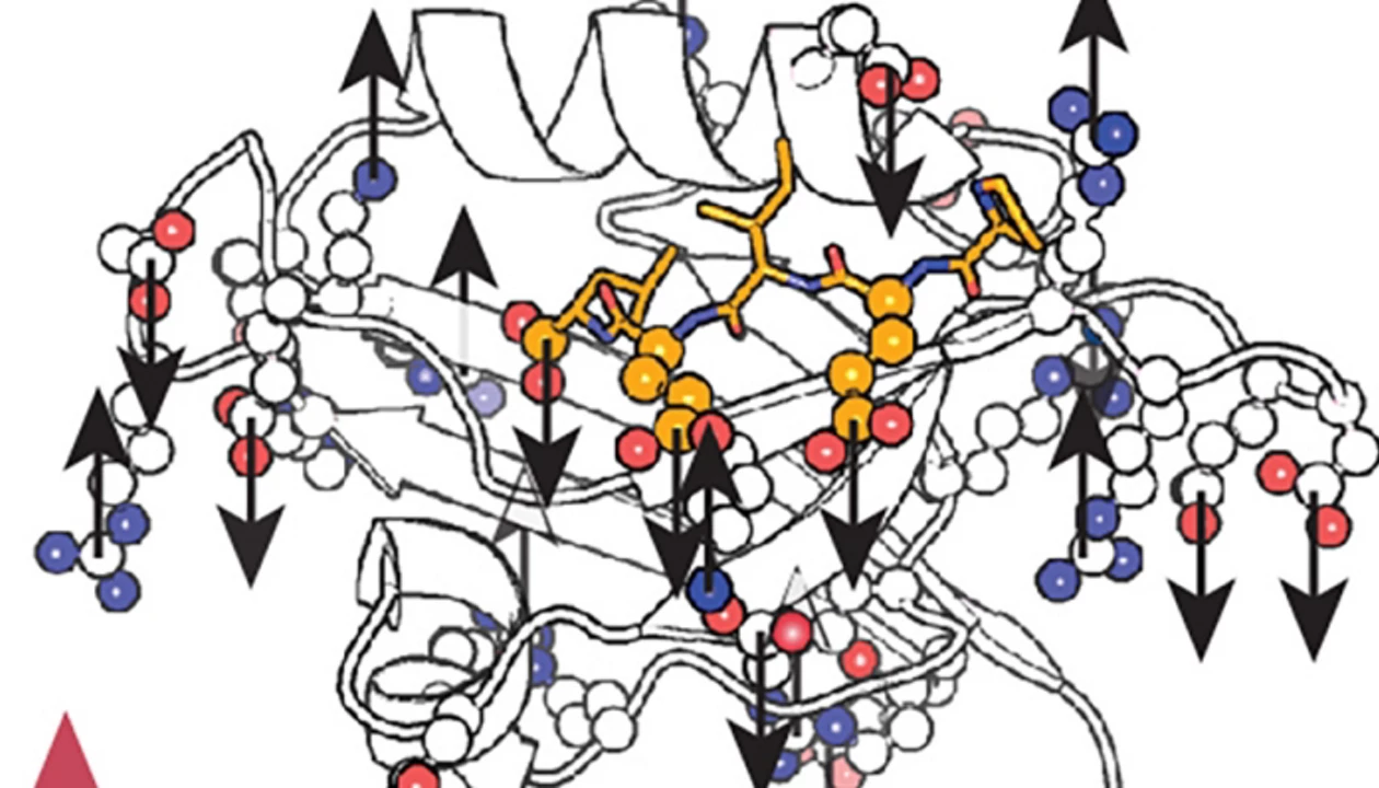 New technique shocks proteins into action