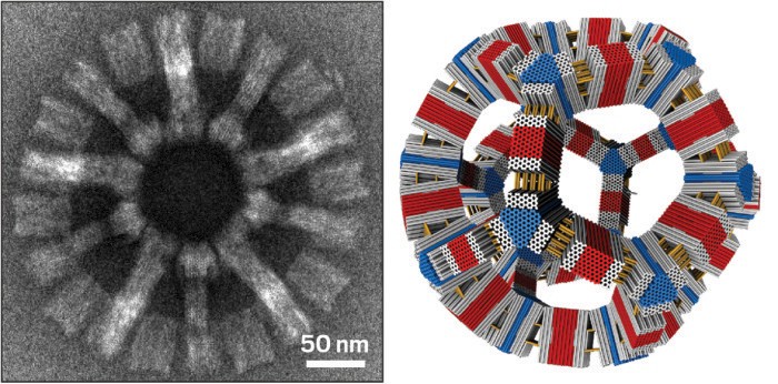 Dna Origami Nano Magazine Latest Nanotechnology News