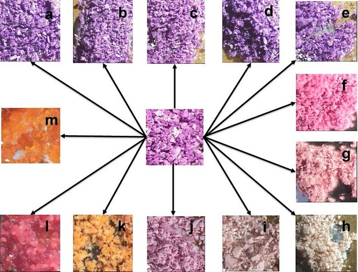 Chemistry-Pictures-Color-solvent