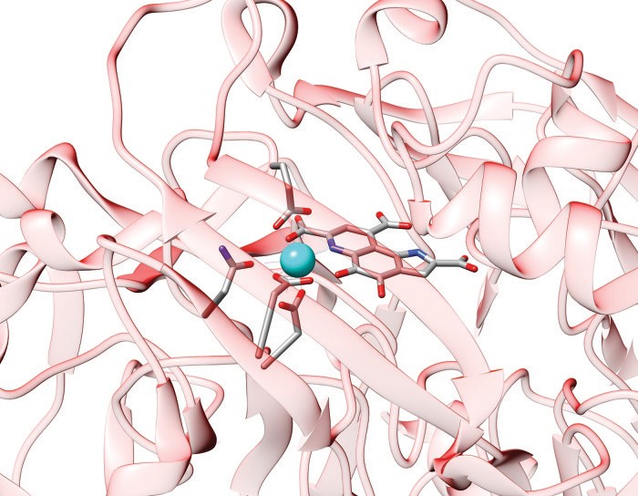 lanthanides-keep-volcanic-bacteria-alive