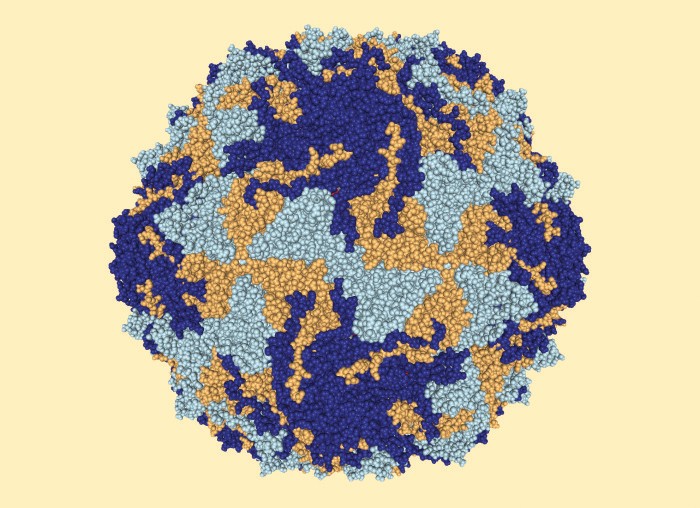 Merck-plans-boost-immunotherapy-drugs