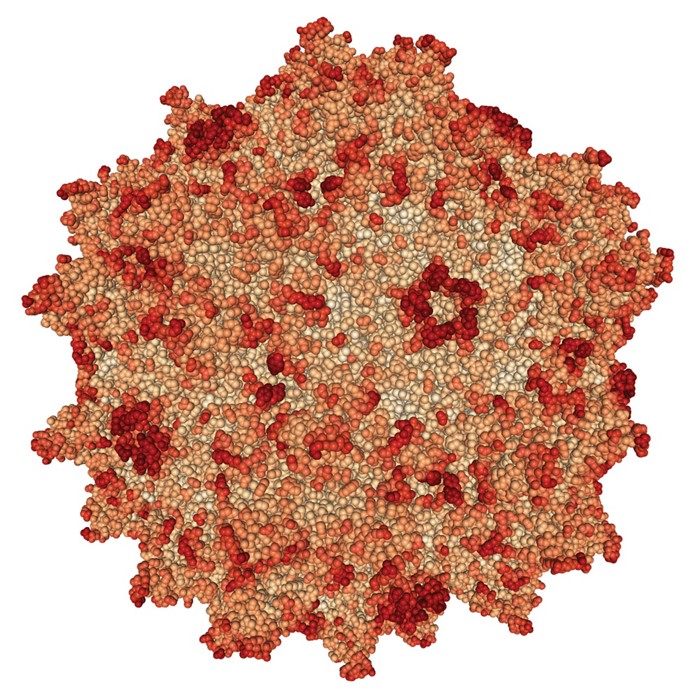 Novartis to expand gene therapy pipeline with acquisition of AveXis for ...