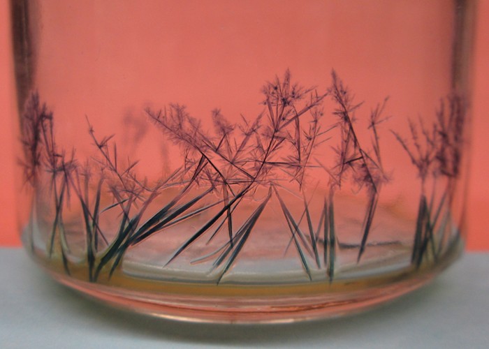 Chemistry in Pictures: Crystals in bloom﻿