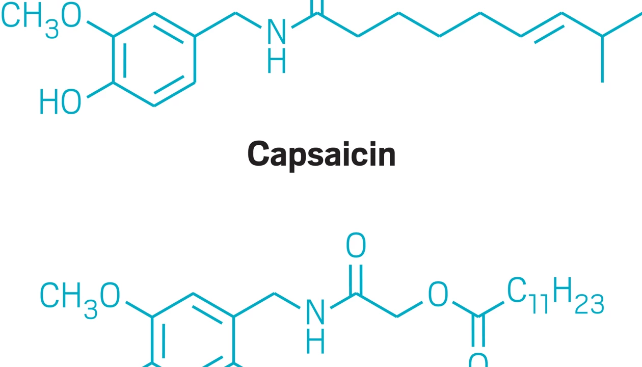 This chili pepper compound will self-destruct