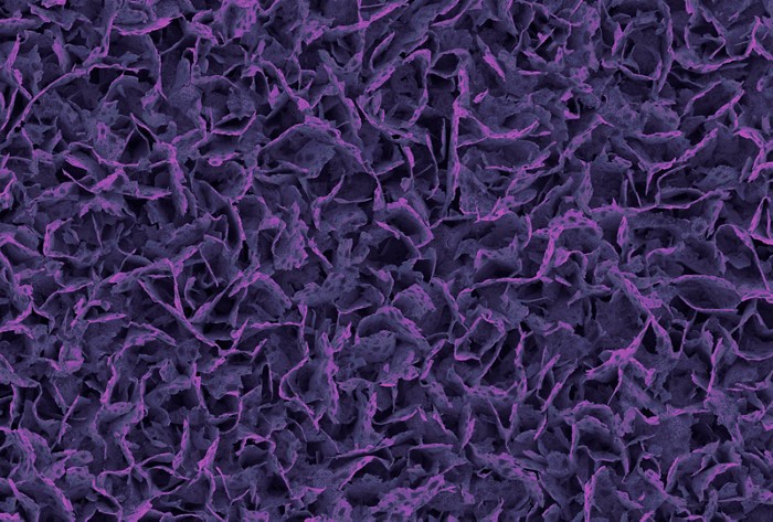 Chemistry in Pictures: Twisted crystals﻿
