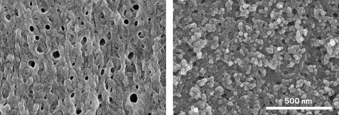 Membrane knocks out antibiotic-resistant bacteria