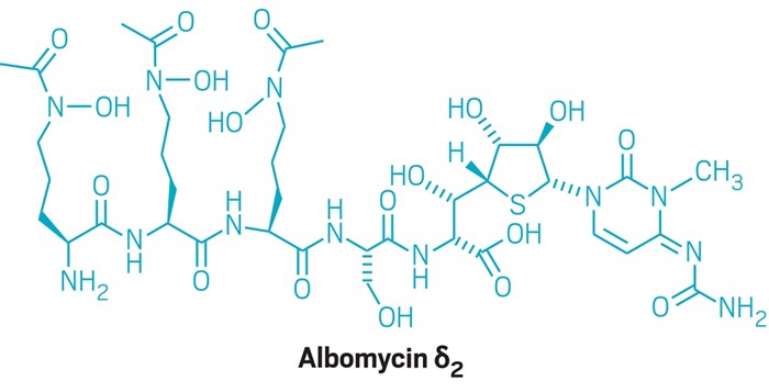 Albomycin antibiotics discovered decades ago﻿ fall to total synthesis