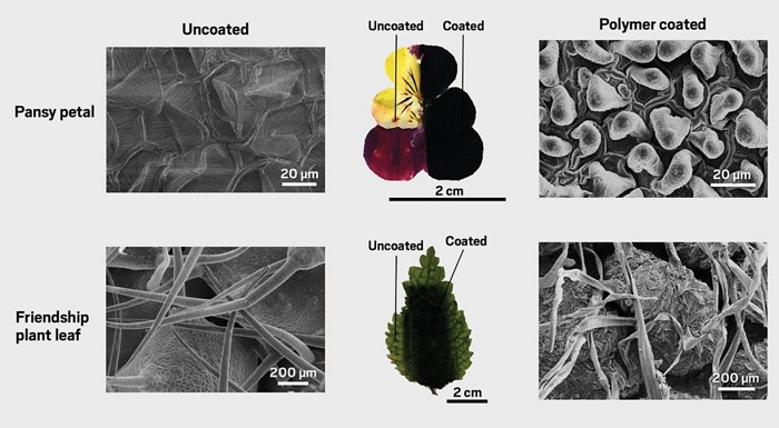 Making flower power by using petals and leaves to build high-capacity ...
