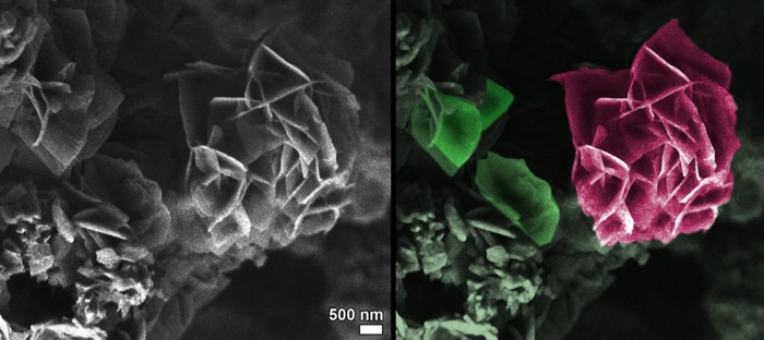 Chemistry in Pictures: Nanoflowers in bloom