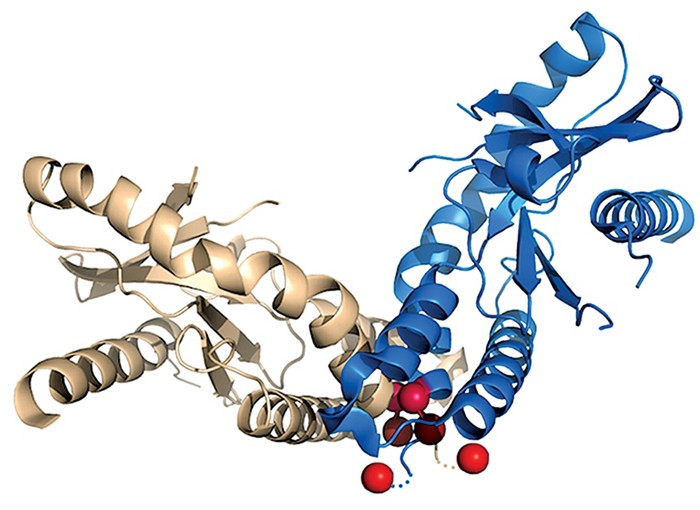 IFM Therapeutics looks to inhibit STING to treat autoimmune disease﻿
