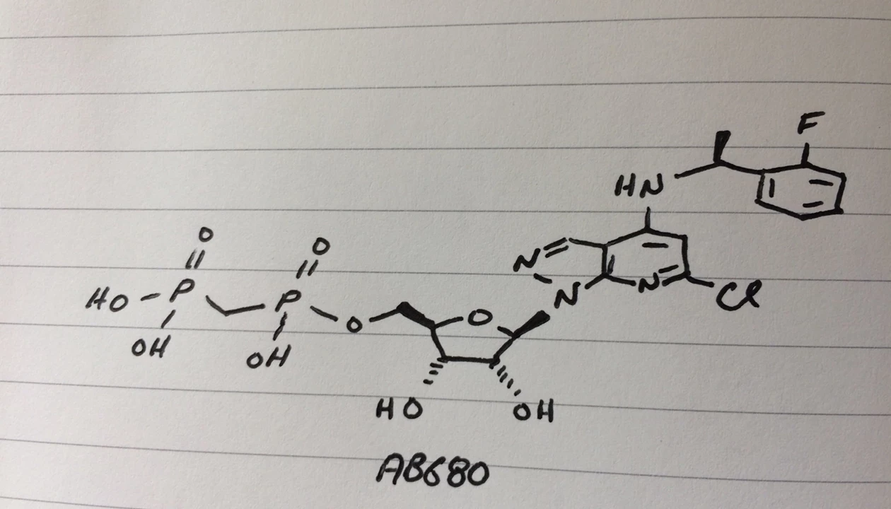 Drug structures displayed for the first time in Orlando