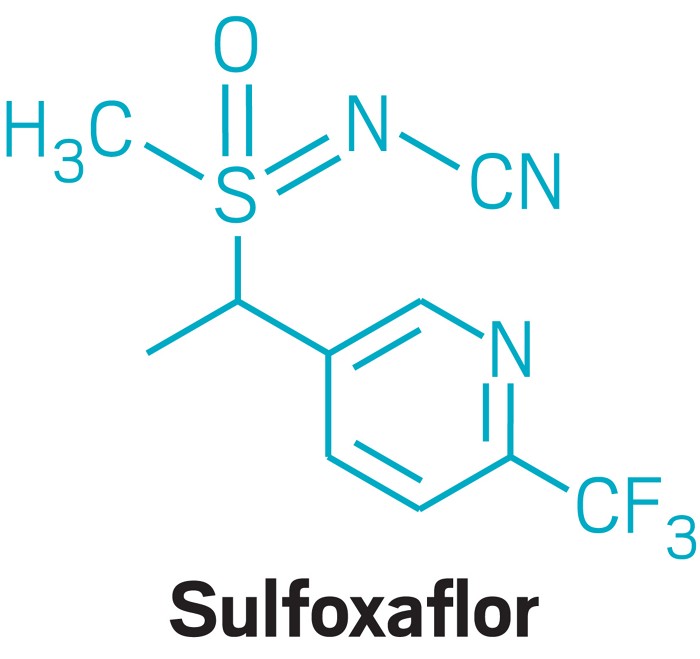 Sulfoxaflor pesticide returns to the US market