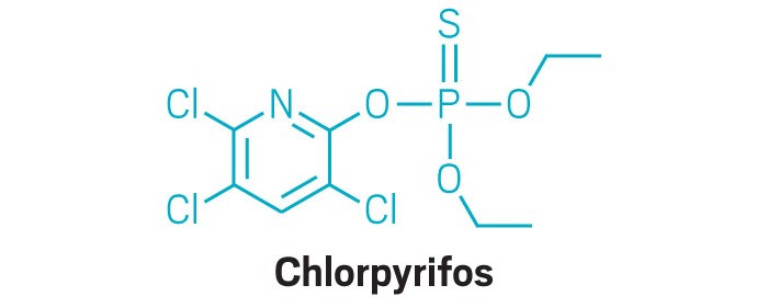 US EPA: Chlorpyrifos is here to stay