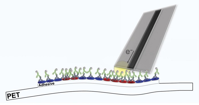 Adhesive tape–based method could help screen skin cells for melanoma