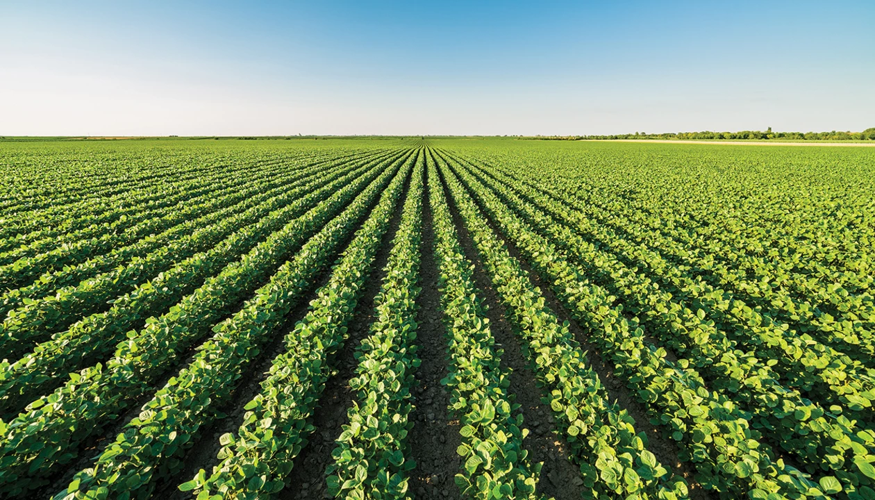 Ex-Monsanto scientist indicted for trade secret theft