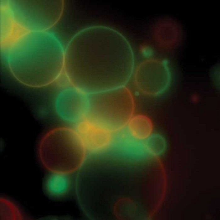 Chemistry in Pictures: Jingle cells