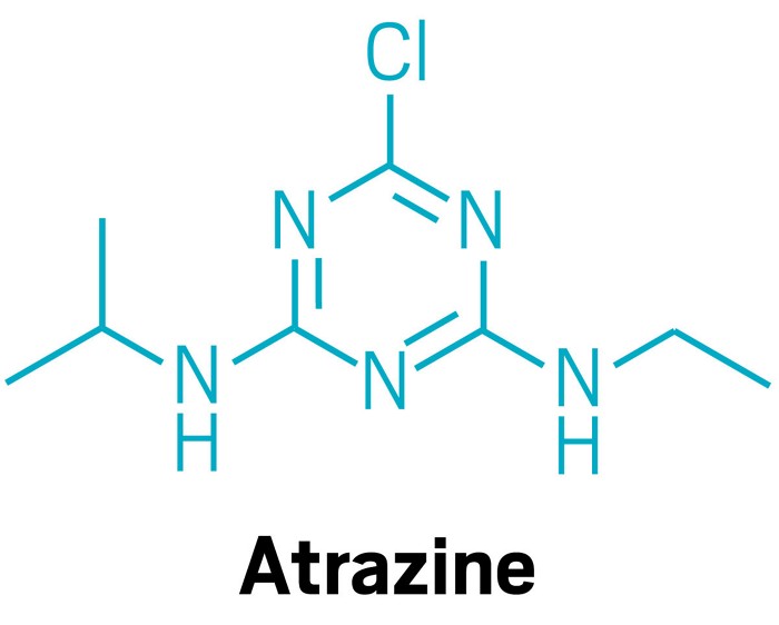 Atrazine renewal moves forward in the US
