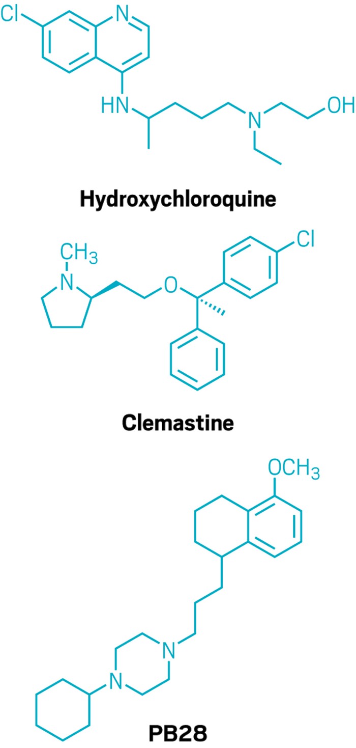 Cell studies suggest some repurposed drugs could block replication of ...