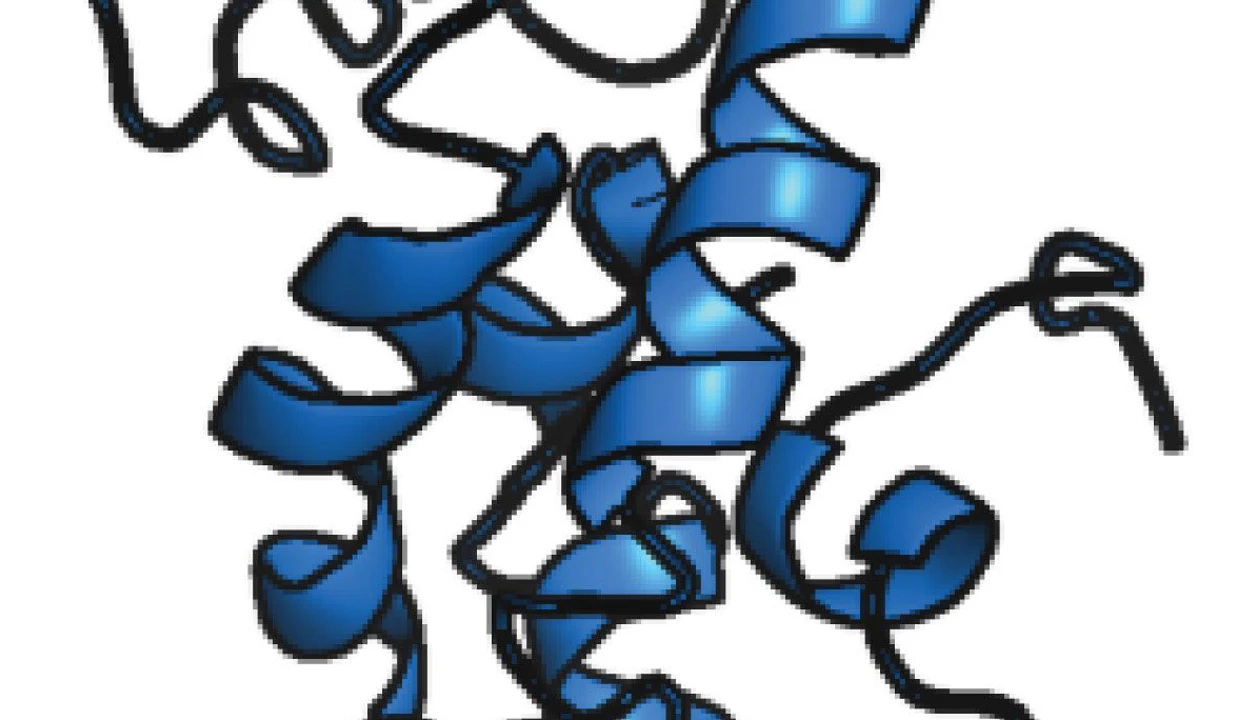 Natural protein captures rare-earth elements better than synthetic ...