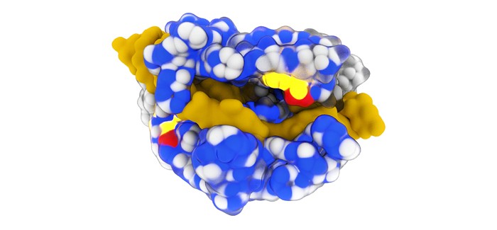 Scribe Therapeutics launches to explore next-generation CRISPR technology