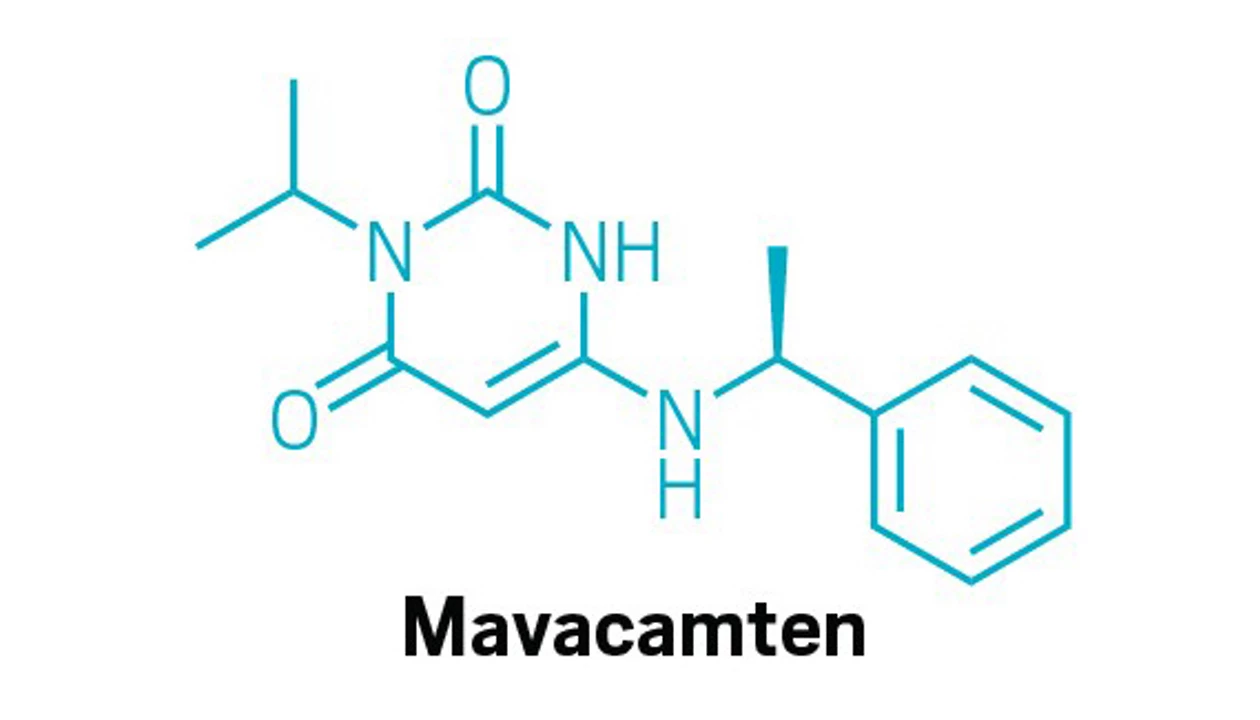 BMS to buy MyoKardia for access to late-stage heart disease drug