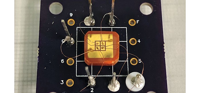 Perfect perovskite crystals detect gamma rays