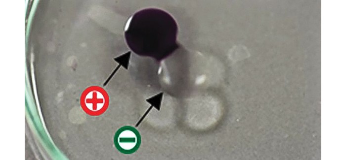 A simple way to charge low-conductivity organic liquids