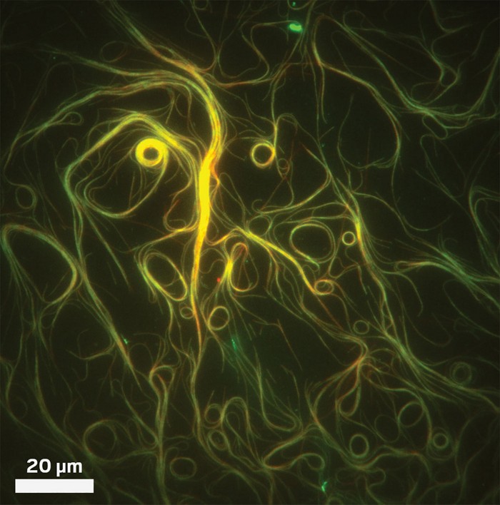 Chemistry in Pictures: Diaphanous dancers