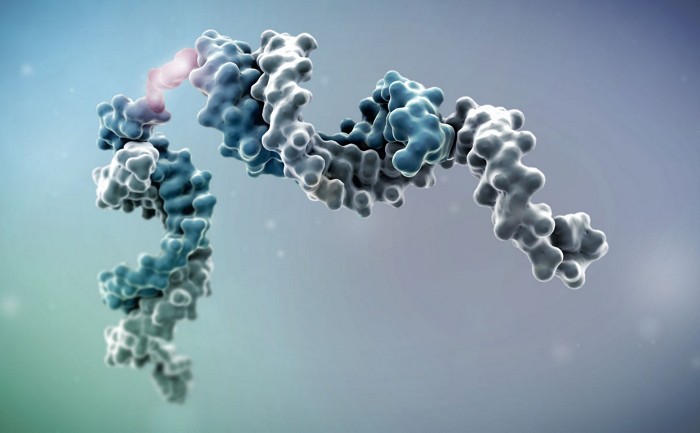Atalanta Therapeutics launches to develop RNAi therapies for ...